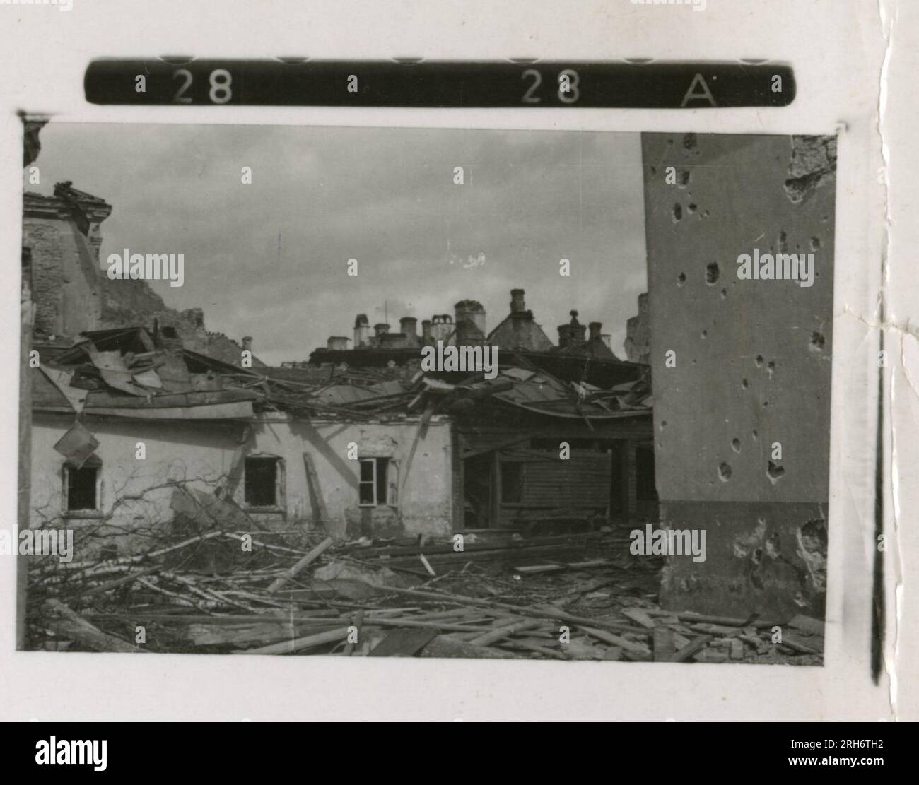 SS Photographer, Heinemann (Russia 1944) Individual and group soldier ...