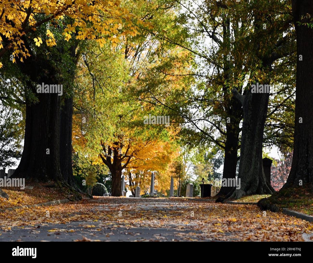 Fall views hi-res stock photography and images - Alamy