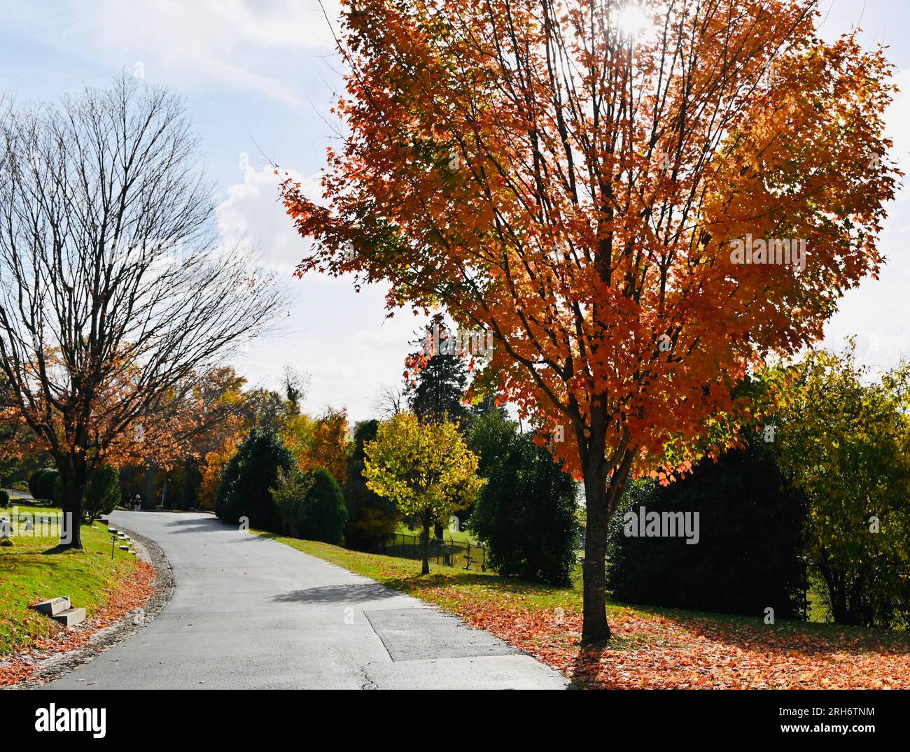 Fall views hi-res stock photography and images - Alamy