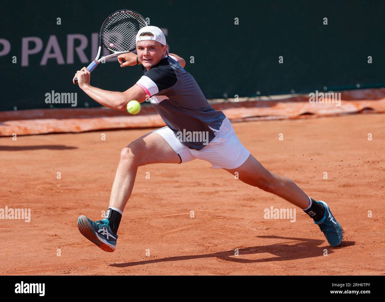 Stricker hi-res stock photography and images - Alamy