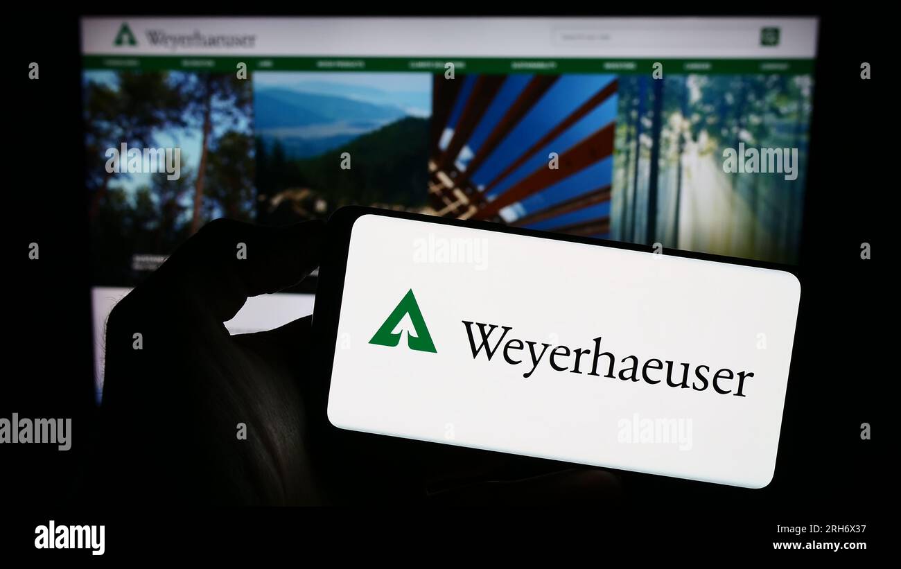 Person holding mobile phone with logo of American timberland business ...