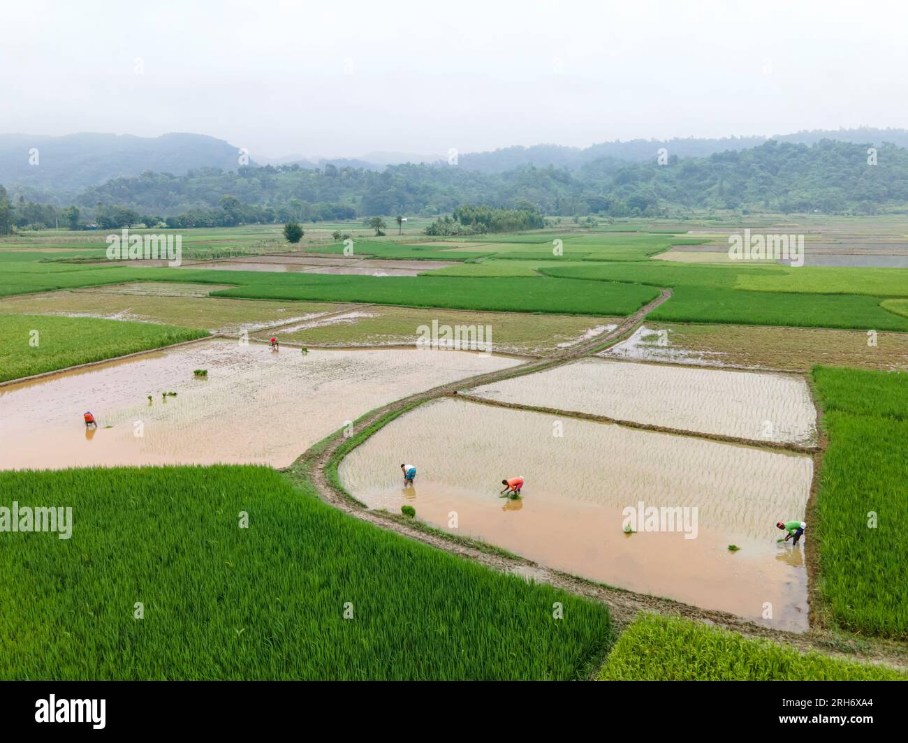 Chittagong, Bangladesh. 14th August 2023. After five consecutive days ...