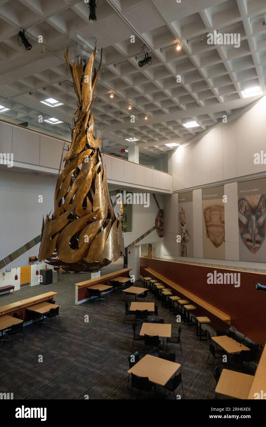 Hudson museum museums local small anthropology hi-res stock photography ...