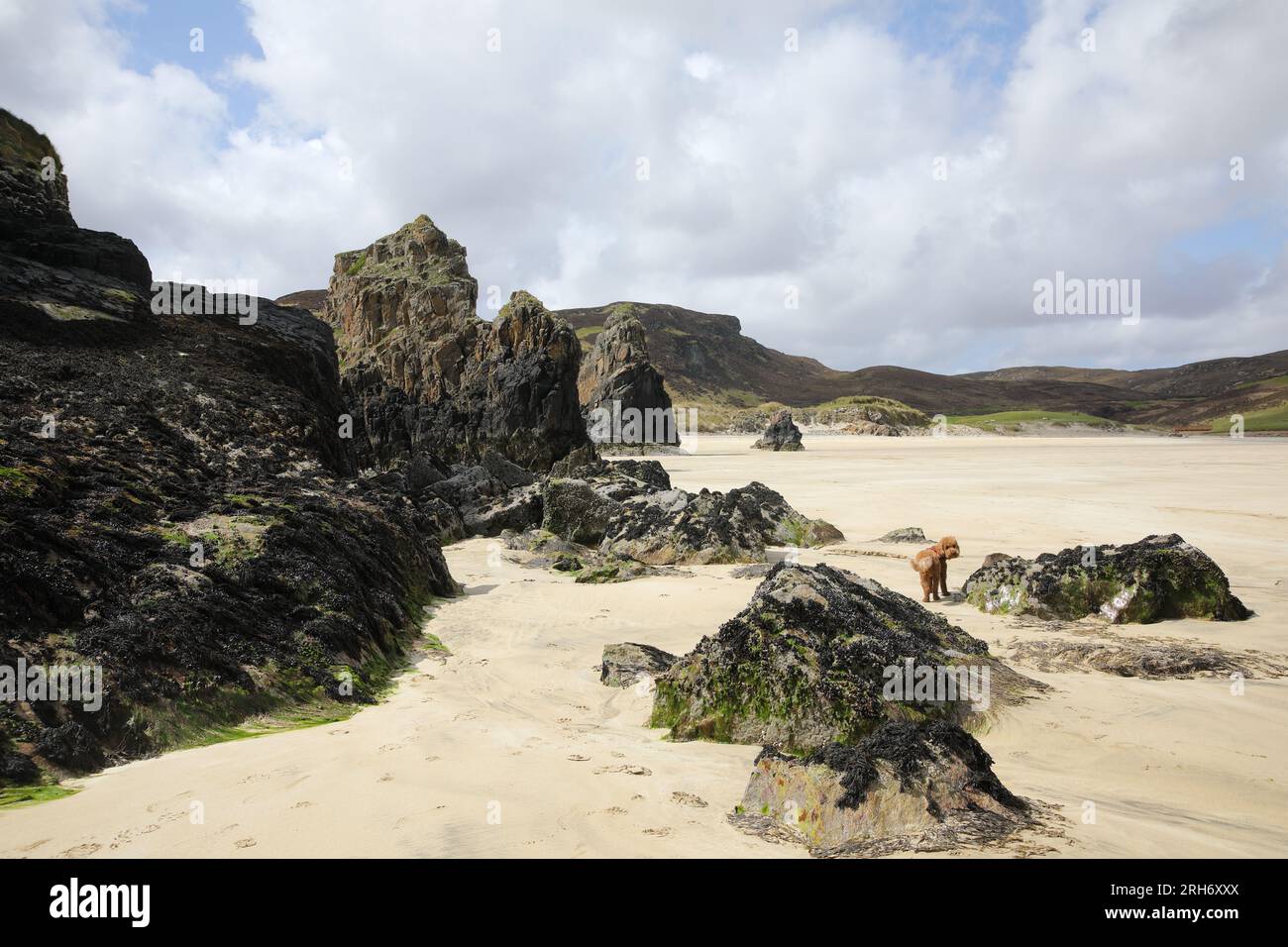 Gary beach hi-res stock photography and images - Alamy