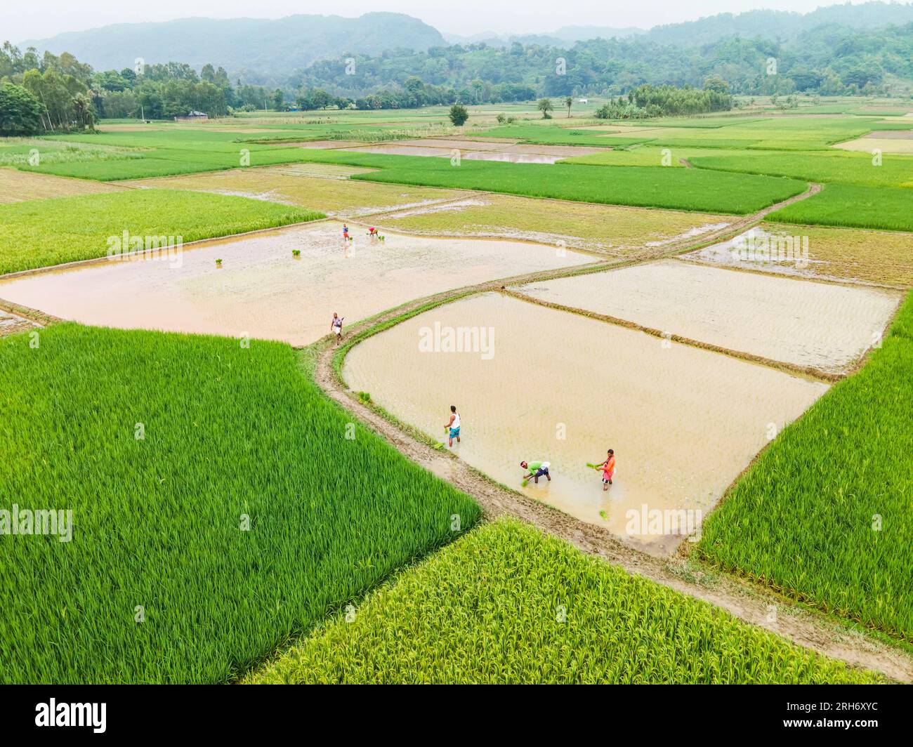 Chittagong, Bangladesh. 14th August 2023. After five consecutive days ...