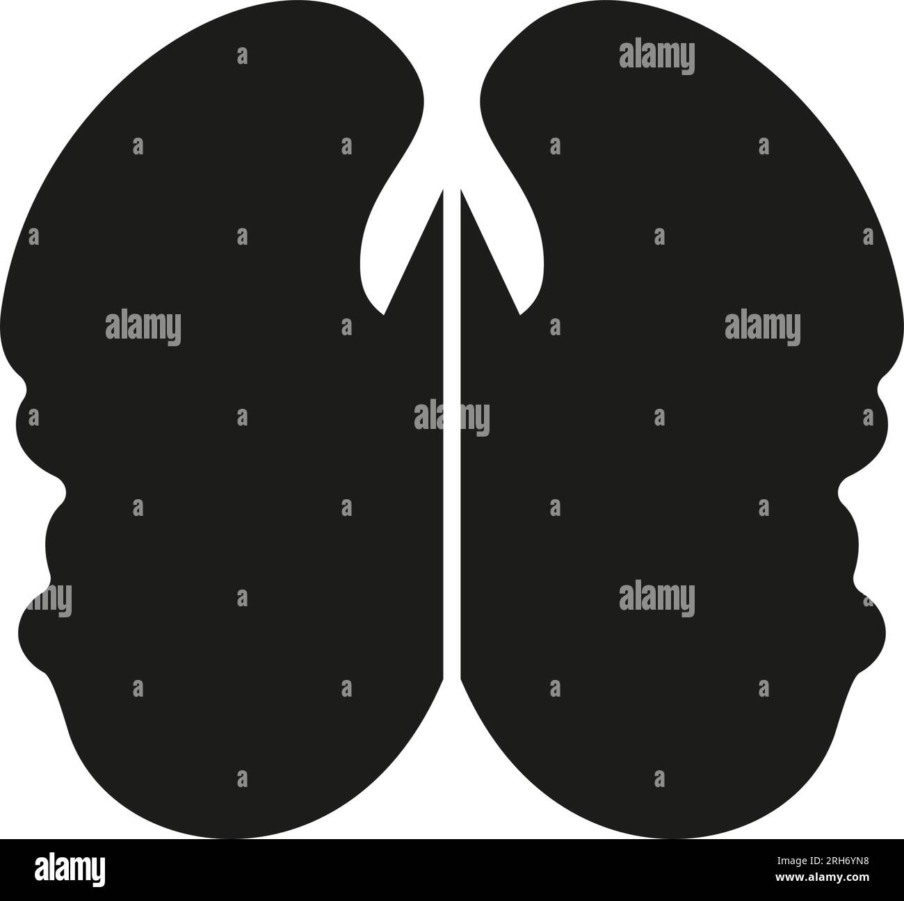 Nut kernel icon Stock Vector Image & Art - Alamy