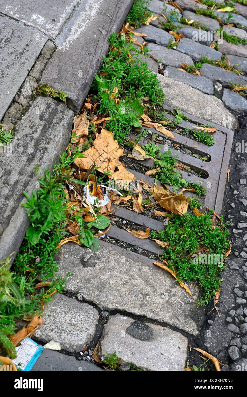 Weeds in gutter and pavement with city council abandoning use of ...