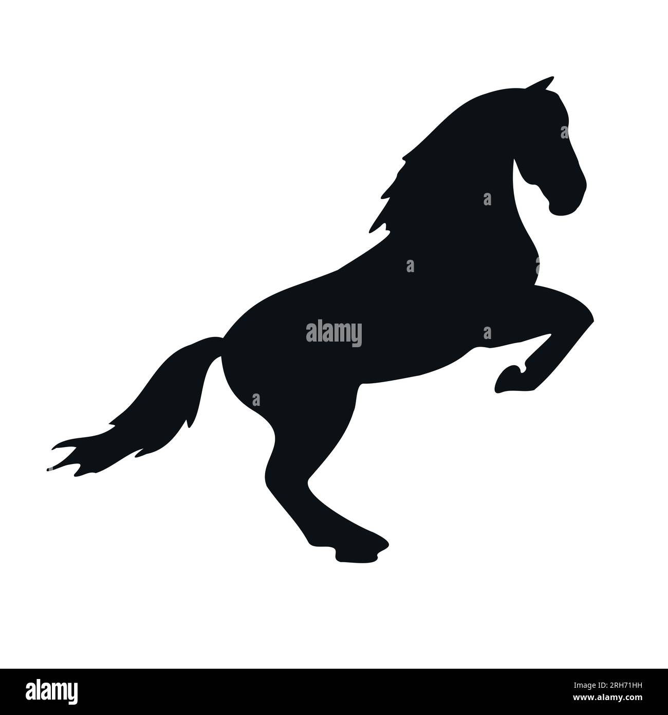 Vector hand drawn dressage horse silhouette isolated on white ...