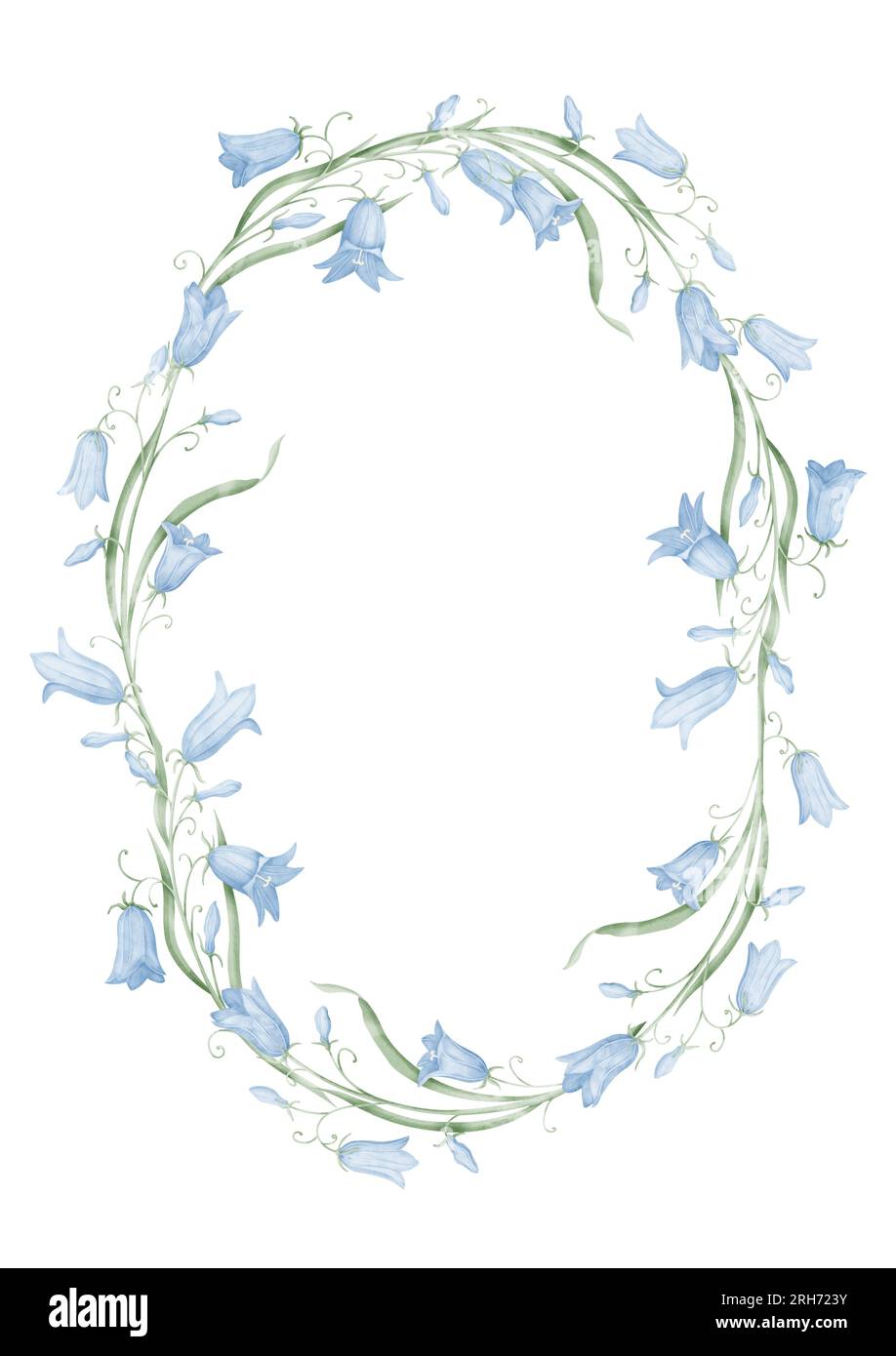 Floral Template with Bellflowers. Hand drawn watercolor illustration ...