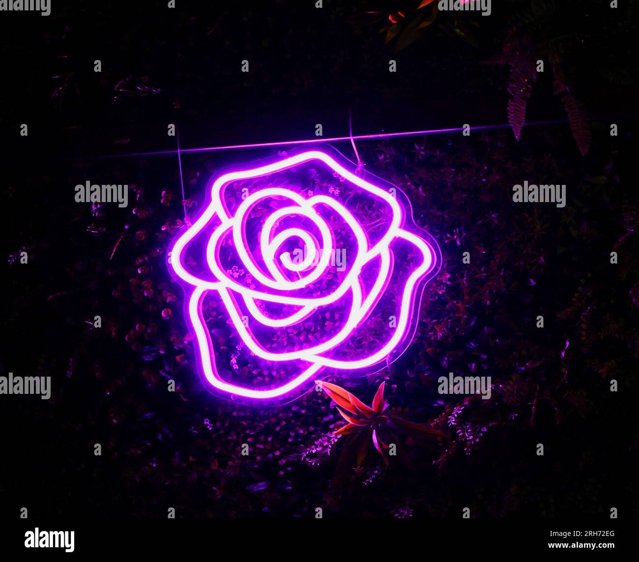 Sign of Venice Stock Photo - Alamy