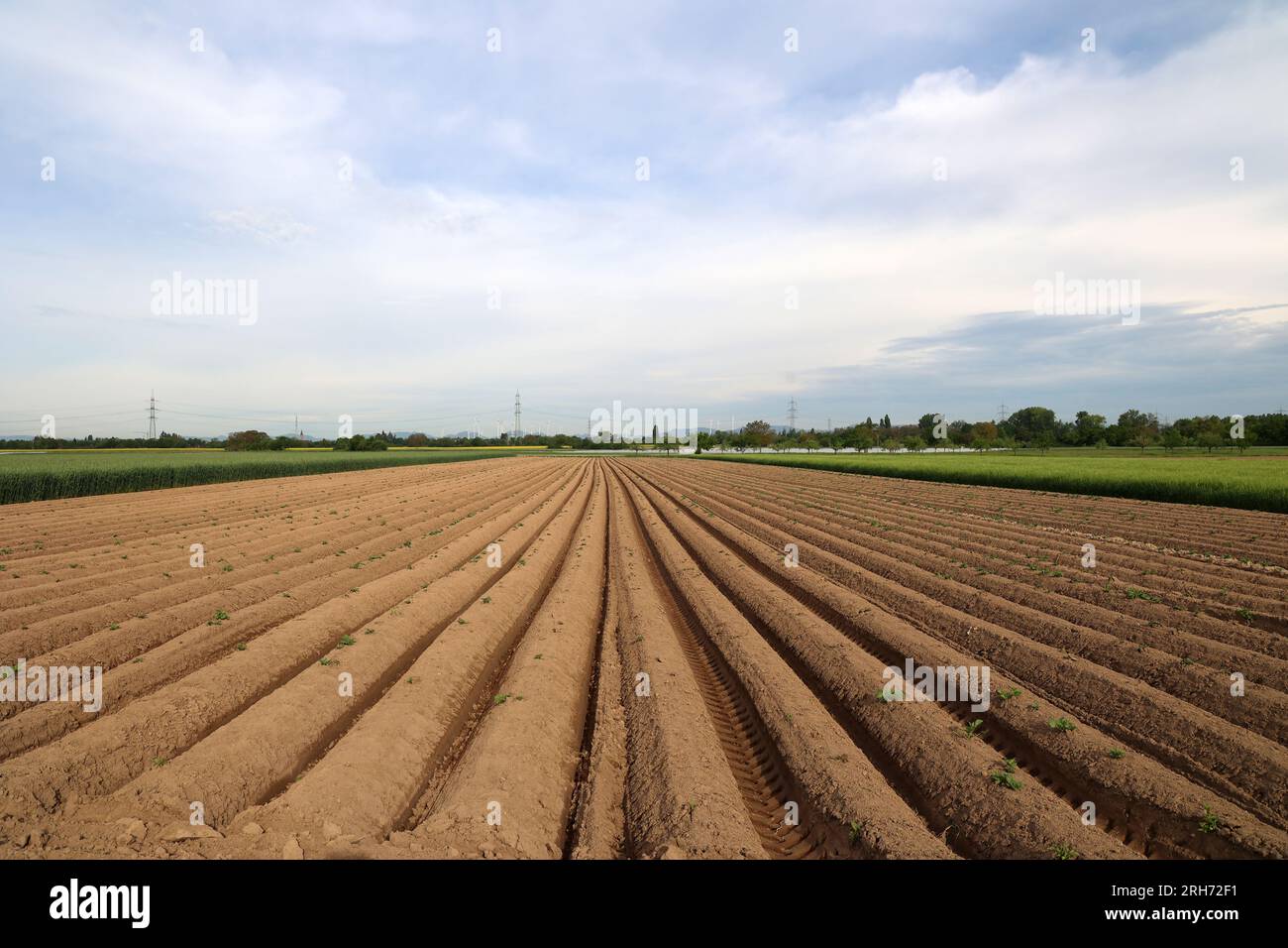 Landscape Field. Freshly plowed field Stock Photo - Alamy