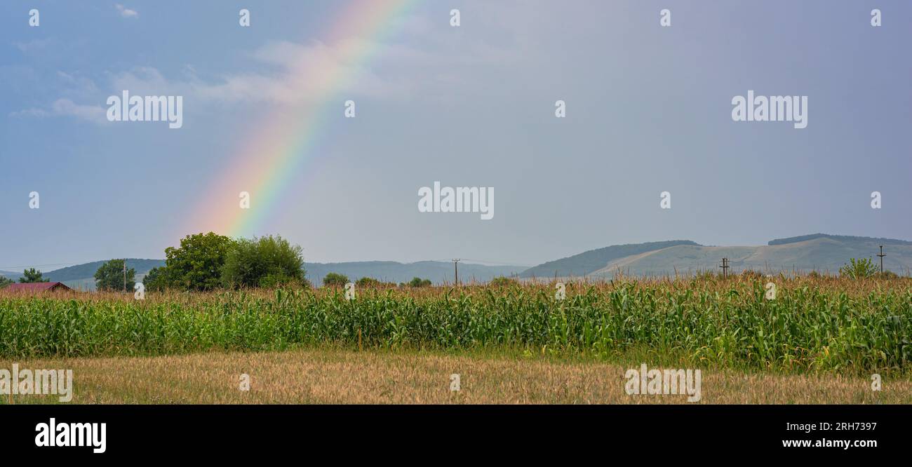 Rainbow over a corn field in the countryside of Transylvania, Romania ...
