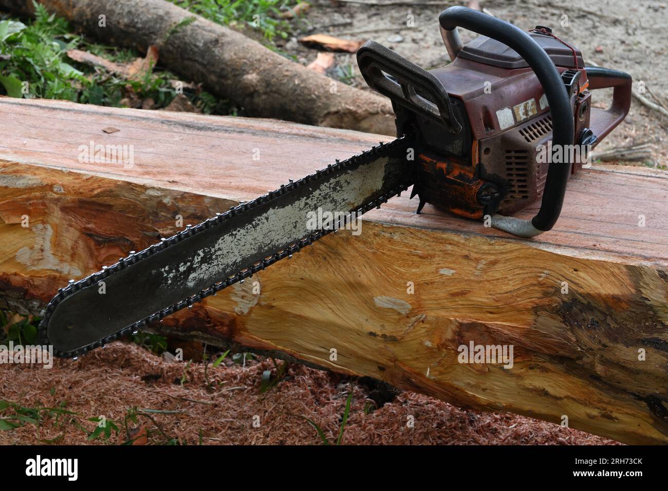 Gasoline saw hi-res stock photography and images - Alamy