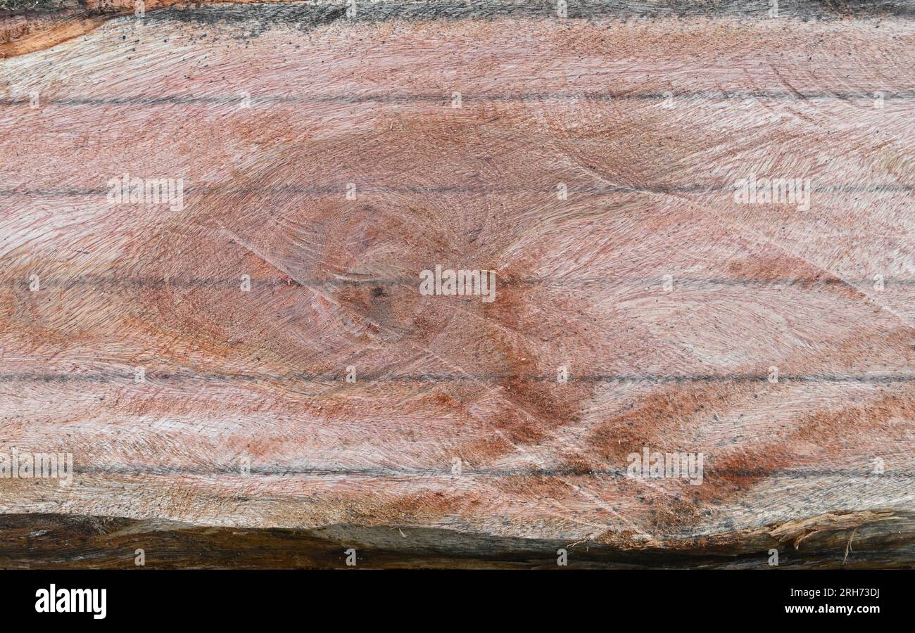 Overhead view of a flattened smooth wood surface which is marked to get ...