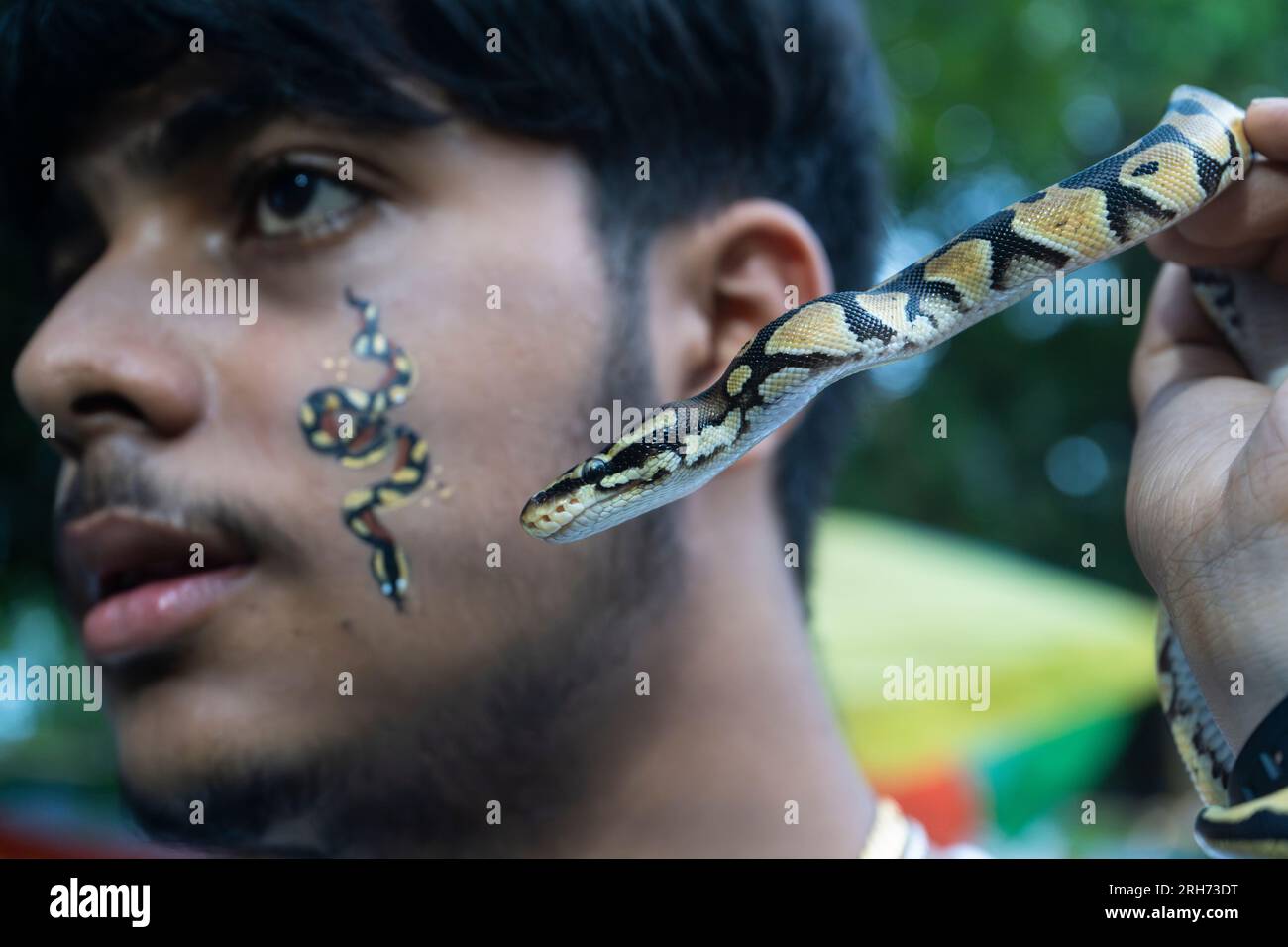 A boy name Ritesh Sarma shows his pet snake a Ball python in an ...