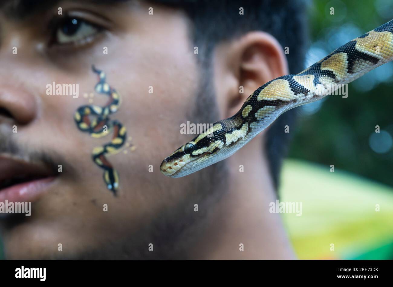 A boy name Ritesh Sarma shows his pet snake a Ball python in an ...