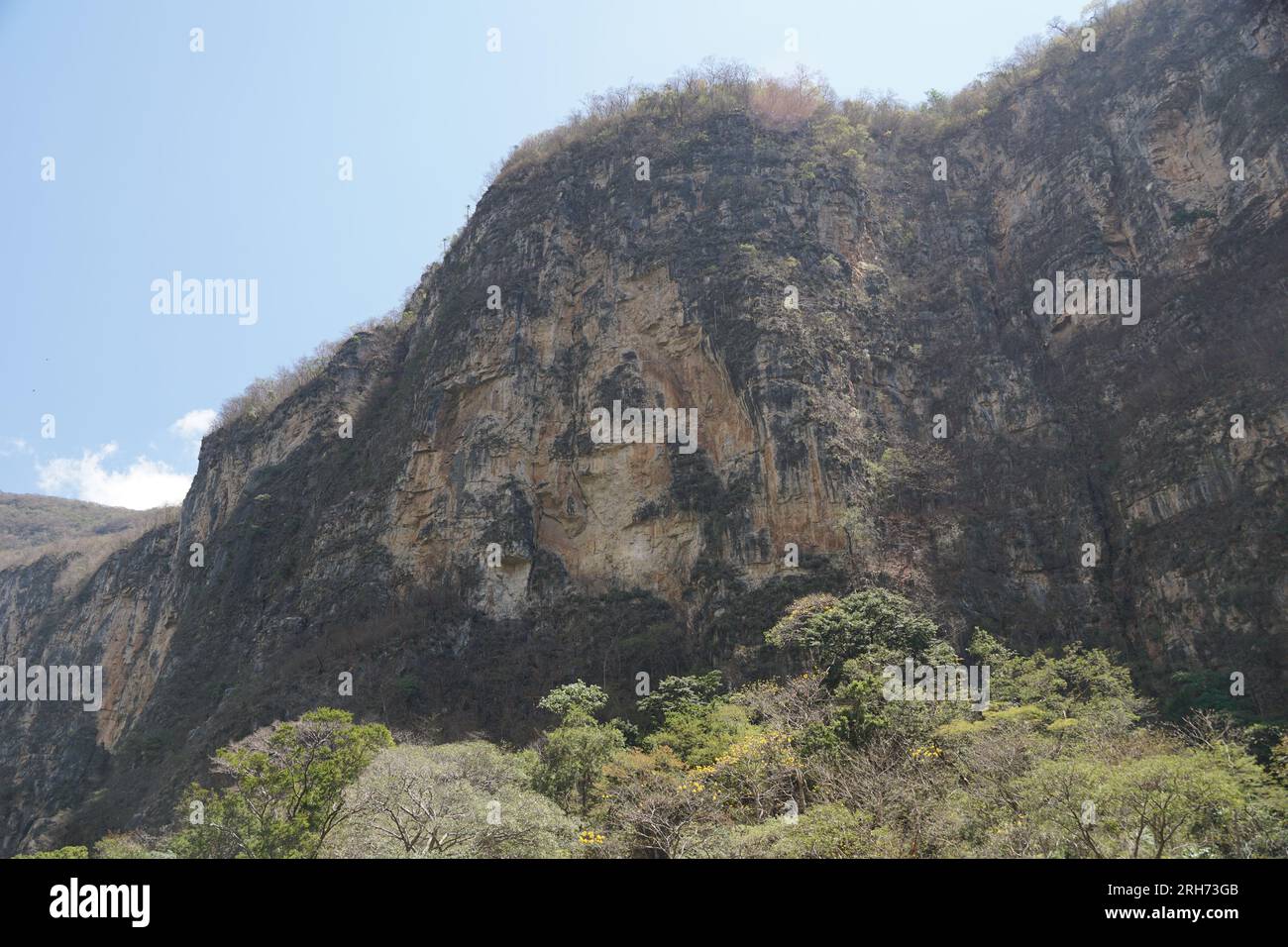 Vegetation, limestone, trees, geology, sky, sumidero canyon at chiapas ...