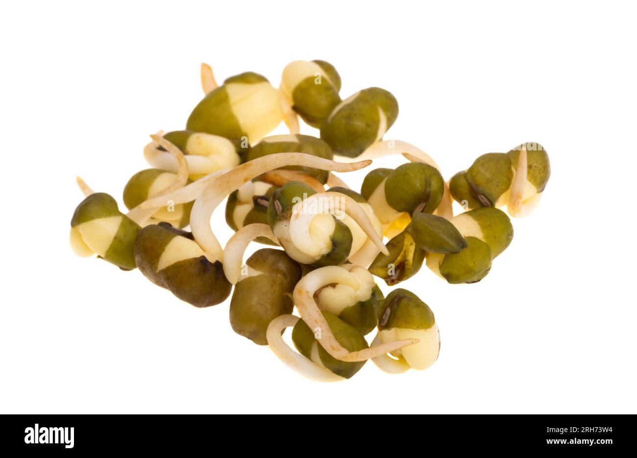 sprouted mung bean isolated on white background Stock Photo - Alamy
