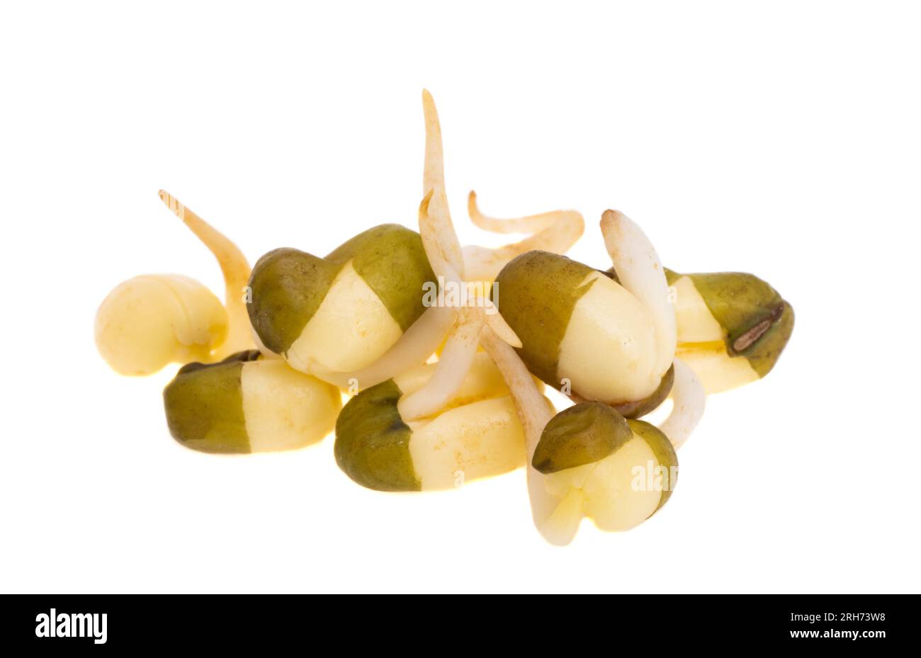 sprouted mung bean isolated on white background Stock Photo - Alamy