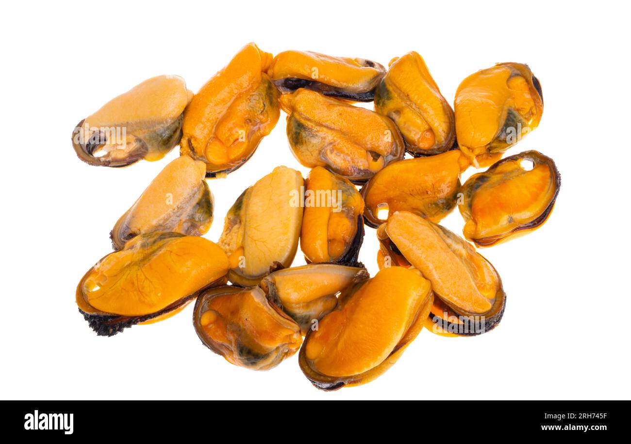 mussels isolated on white background Stock Photo - Alamy