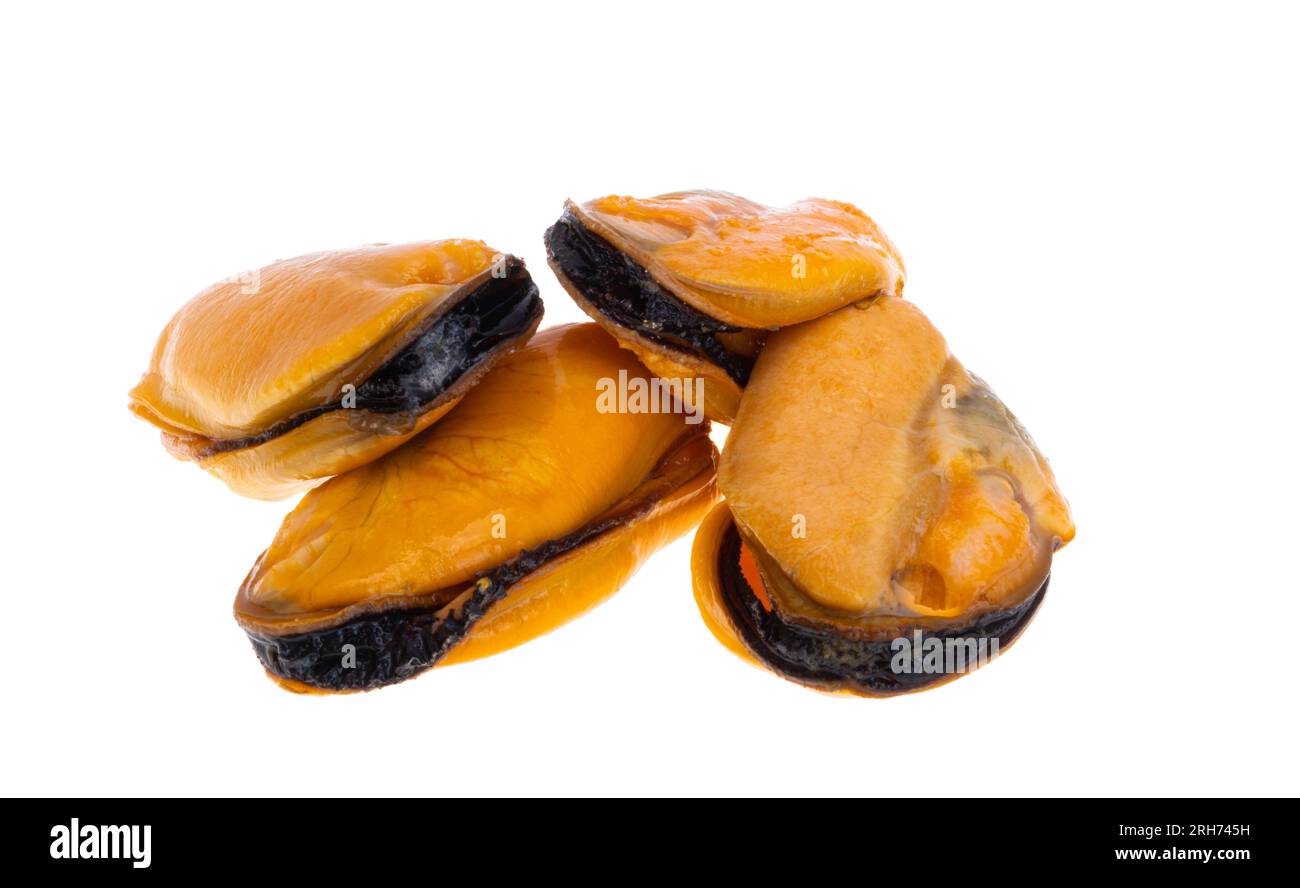 mussels isolated on white background Stock Photo - Alamy