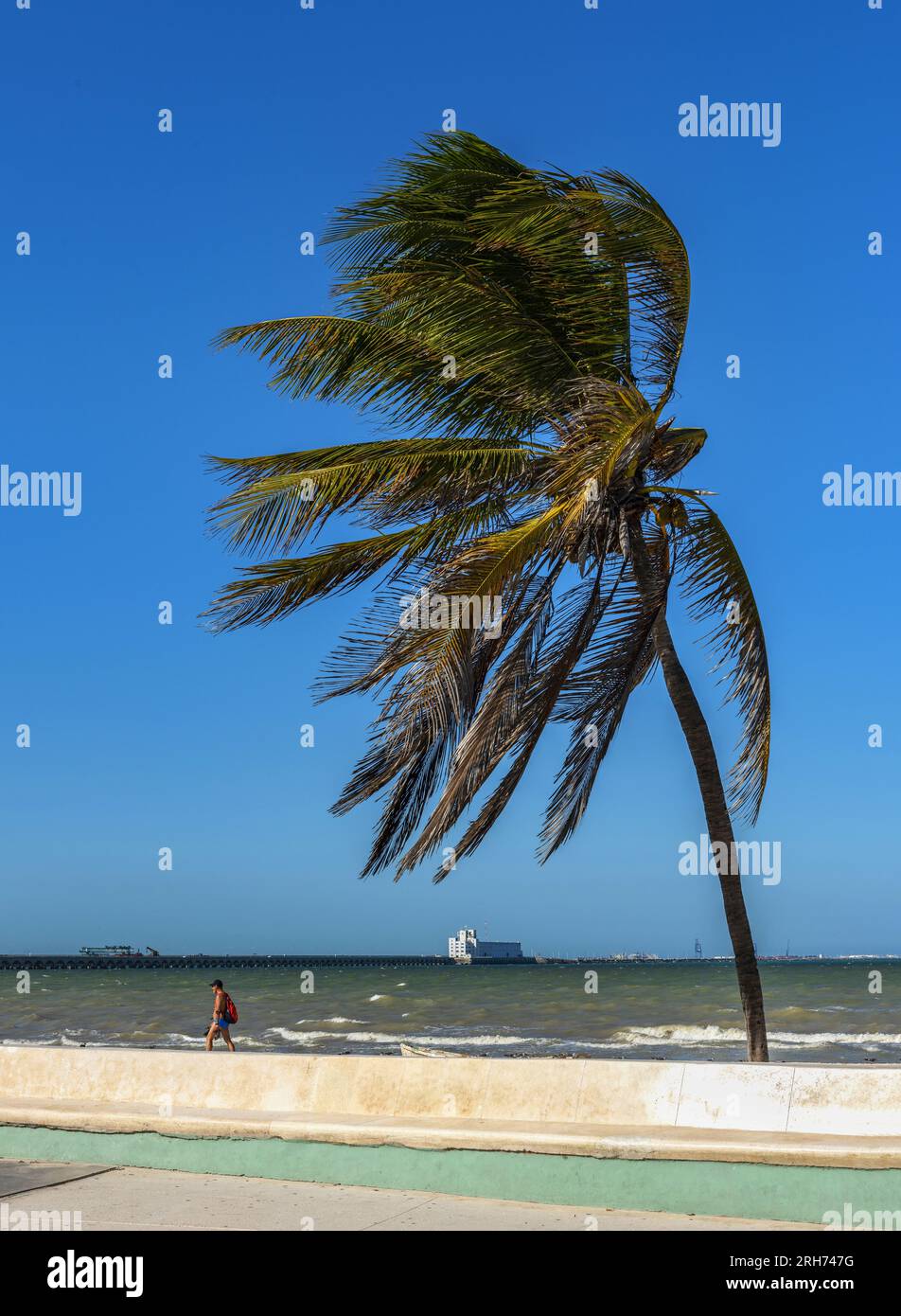 Coastal promenade in Progreso, Mexico Stock Photo - Alamy