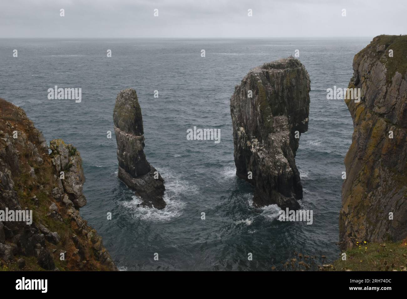 Castlemartin hi-res stock photography and images - Alamy