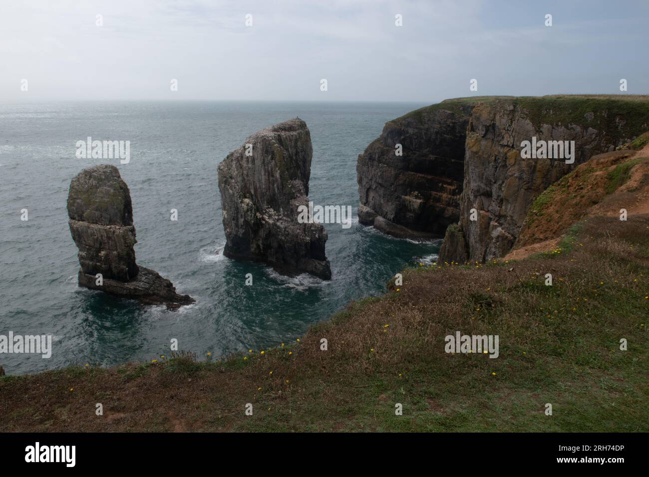 Sea stacks wales hi-res stock photography and images - Alamy