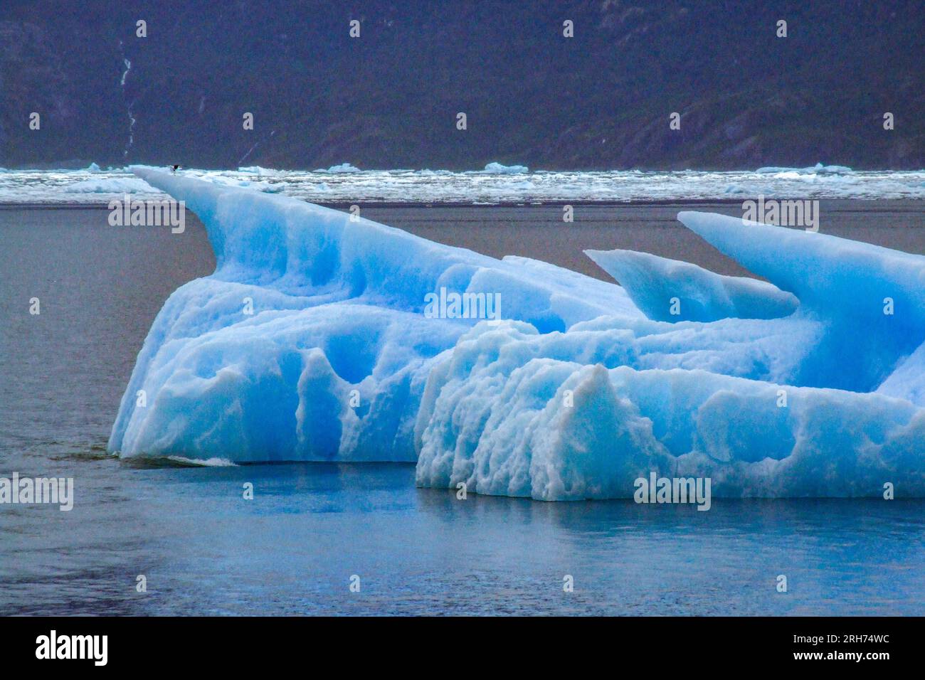 Detail of an iceberg from the San Rafael Glacier in the San Rafael ...