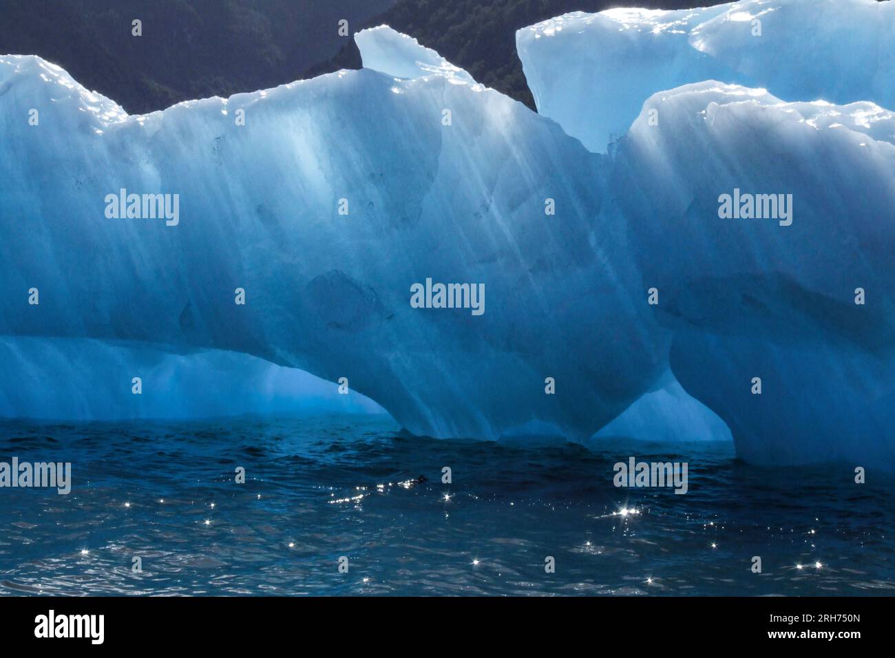 Detail of an iceberg from the San Rafael Glacier in the San Rafael ...