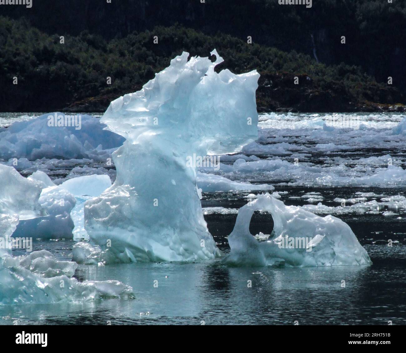 A clear iceberg from the San Rafael Glacier in the San Rafael Lagoon in ...