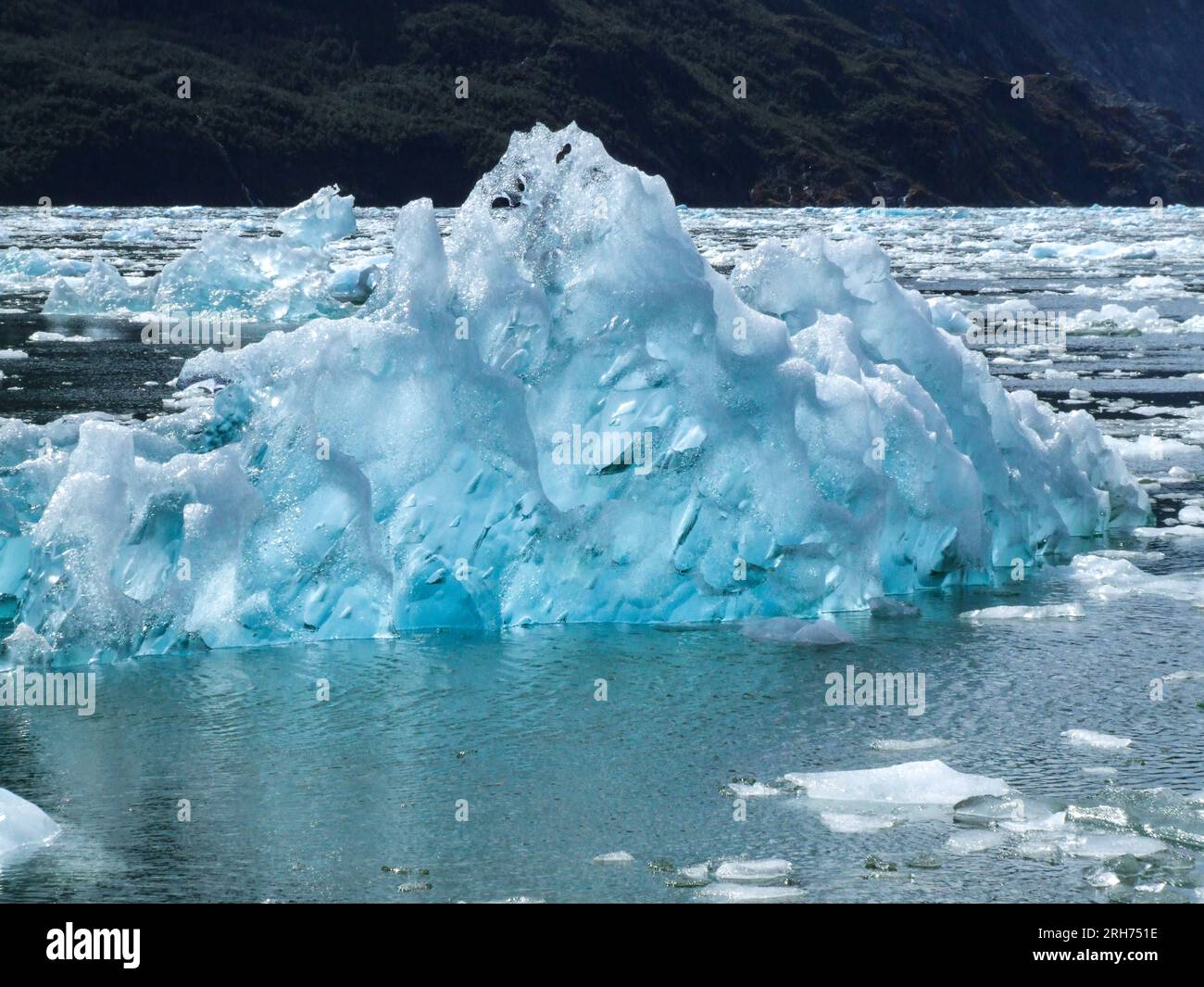 A clear iceberg from the San Rafael Glacier in the San Rafael Lagoon in ...