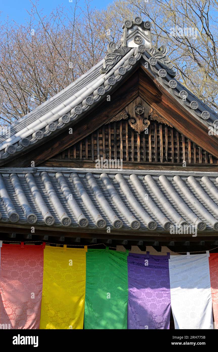 The beauty of cherry blossoms in spring at the Daigo Ji temple, Kyoto ...