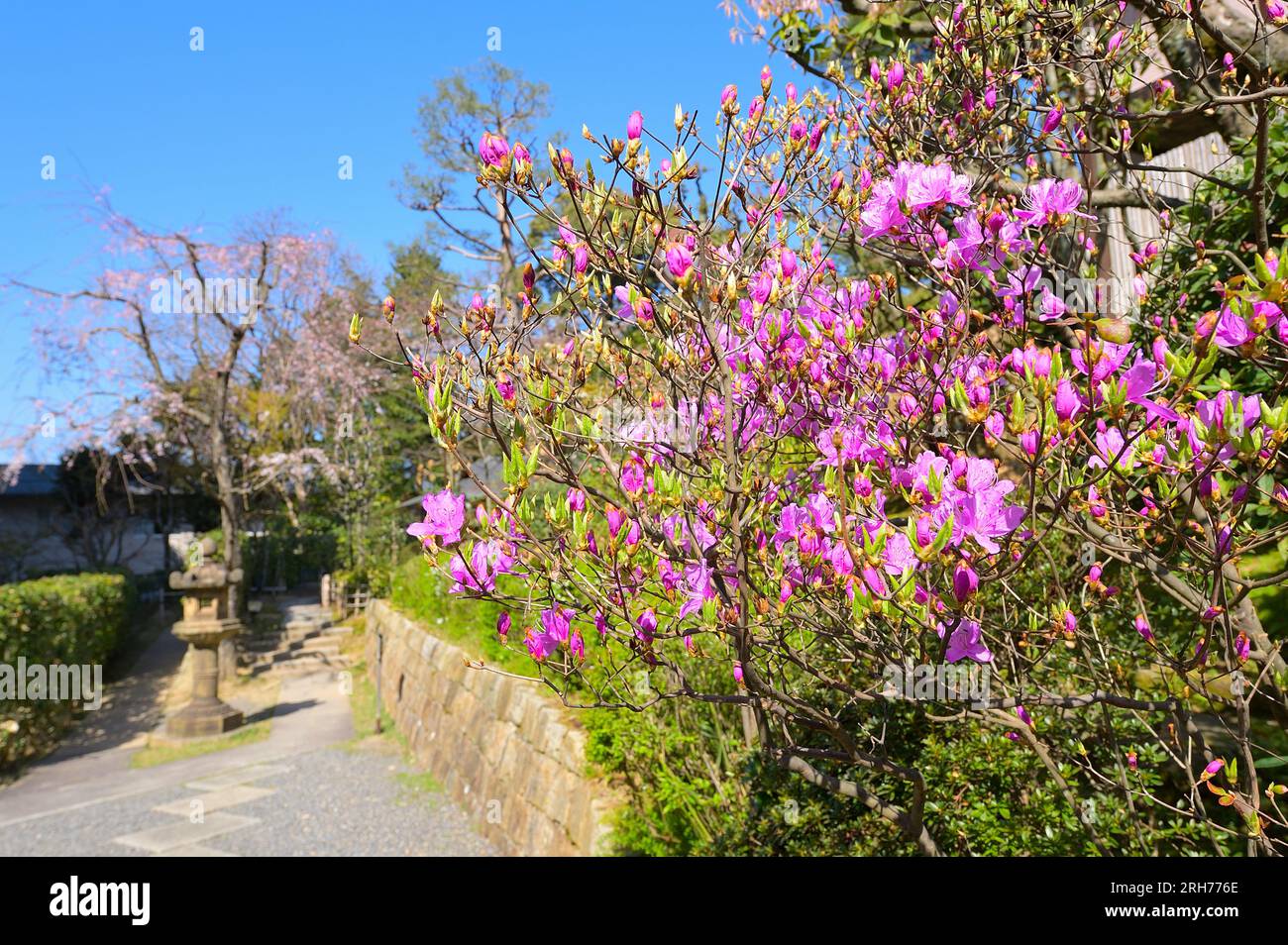 Architecture de kyoto hi-res stock photography and images - Alamy