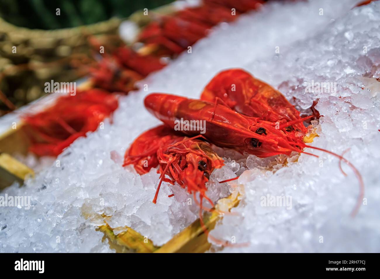 Selection of fresh raw red prawns on ice on display at a high end ...