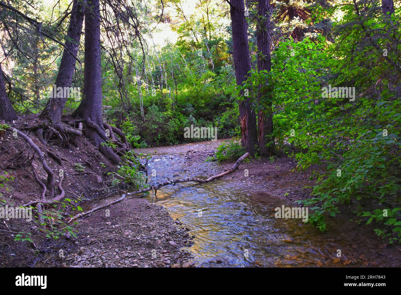 Tibble Fork hiking trail views Lone Peak Wilderness Uinta Wasatch Cache ...