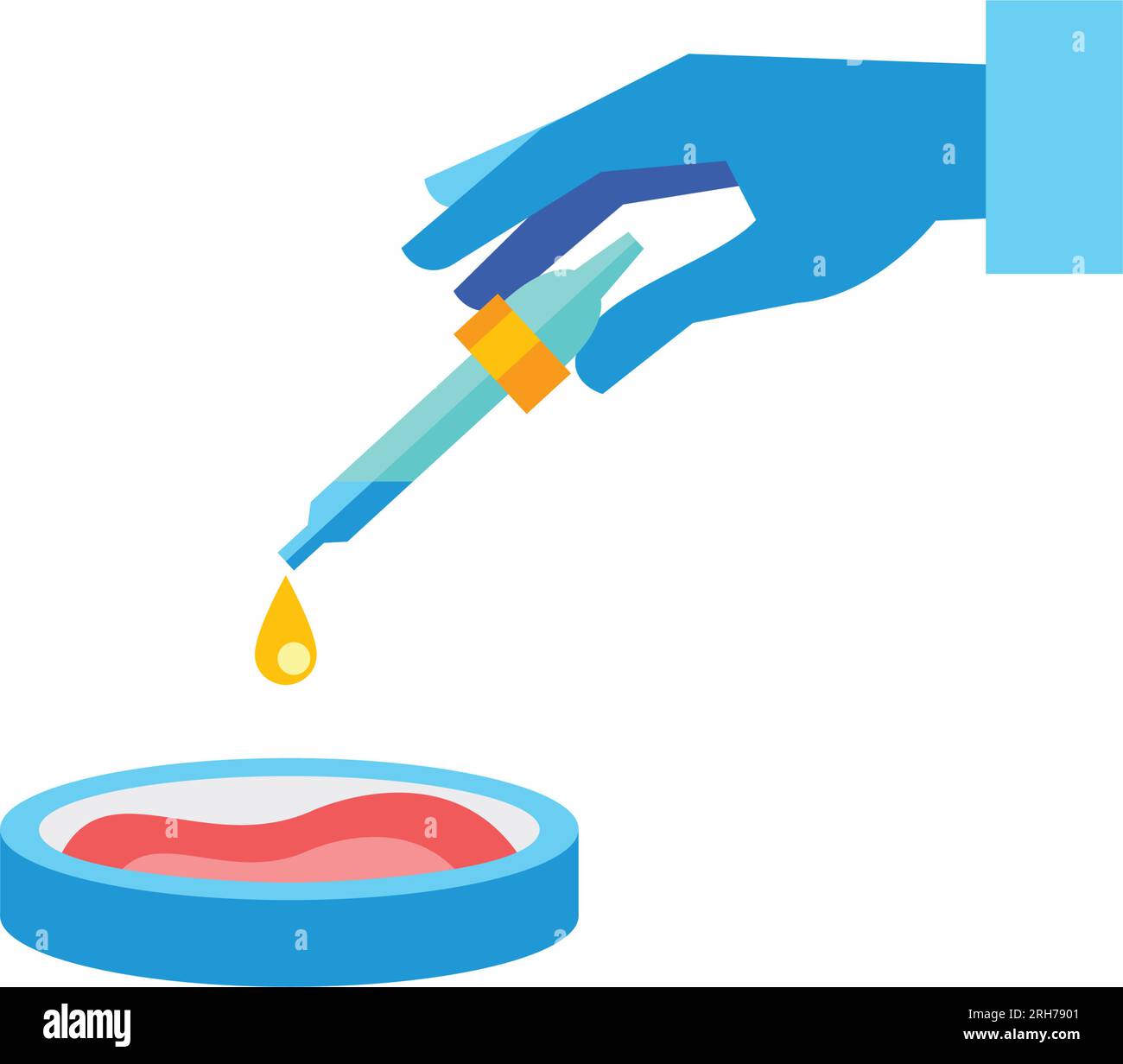 Petri dish drawing hi-res stock photography and images - Alamy