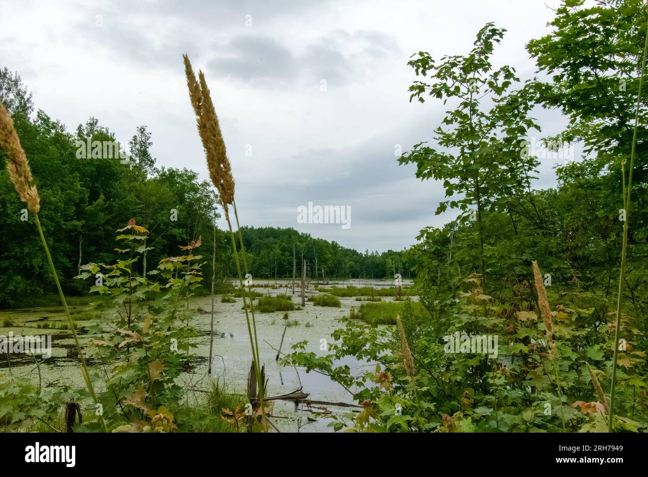 Washburn county hi-res stock photography and images - Alamy