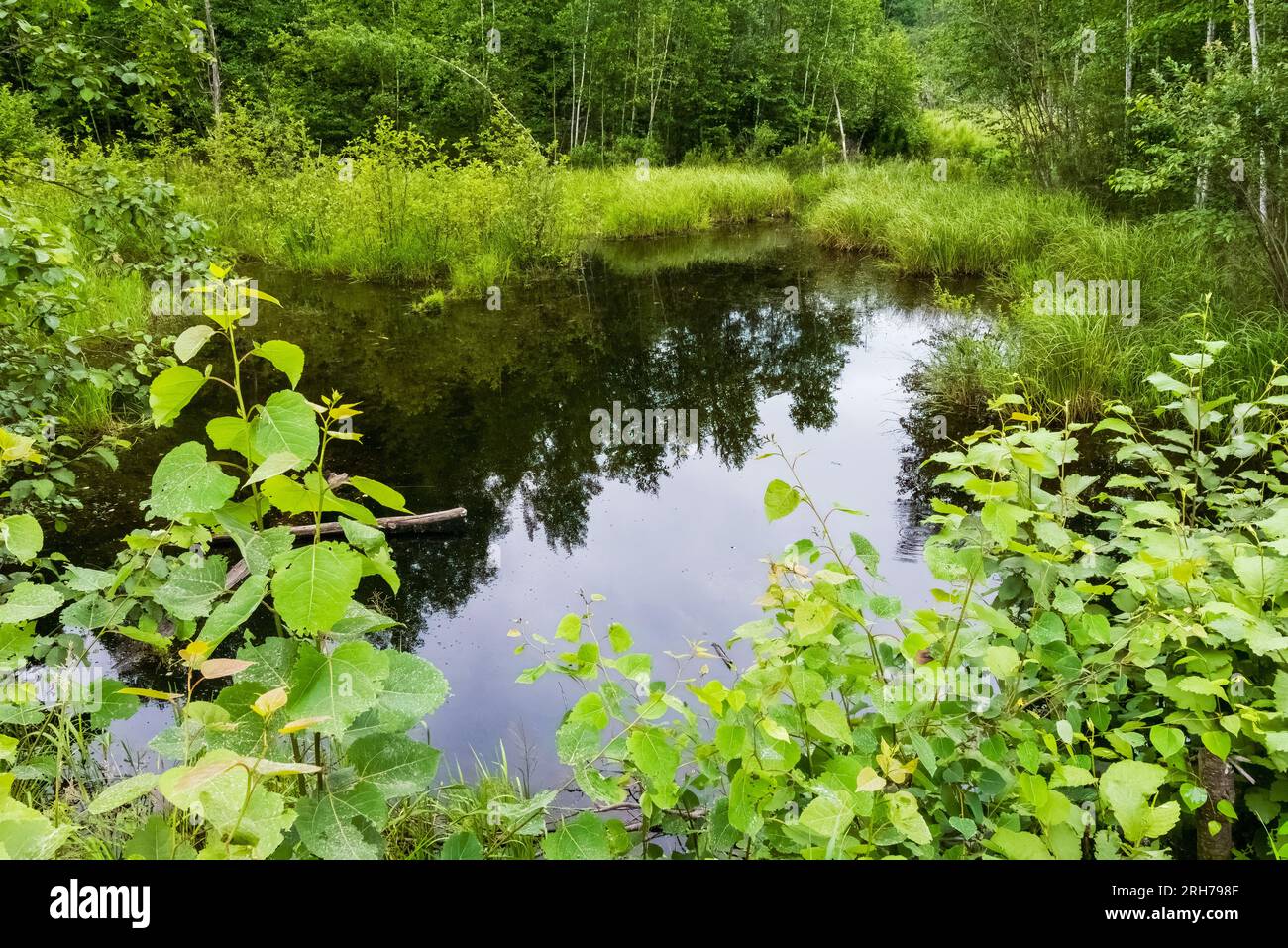 Washburn county hi-res stock photography and images - Alamy