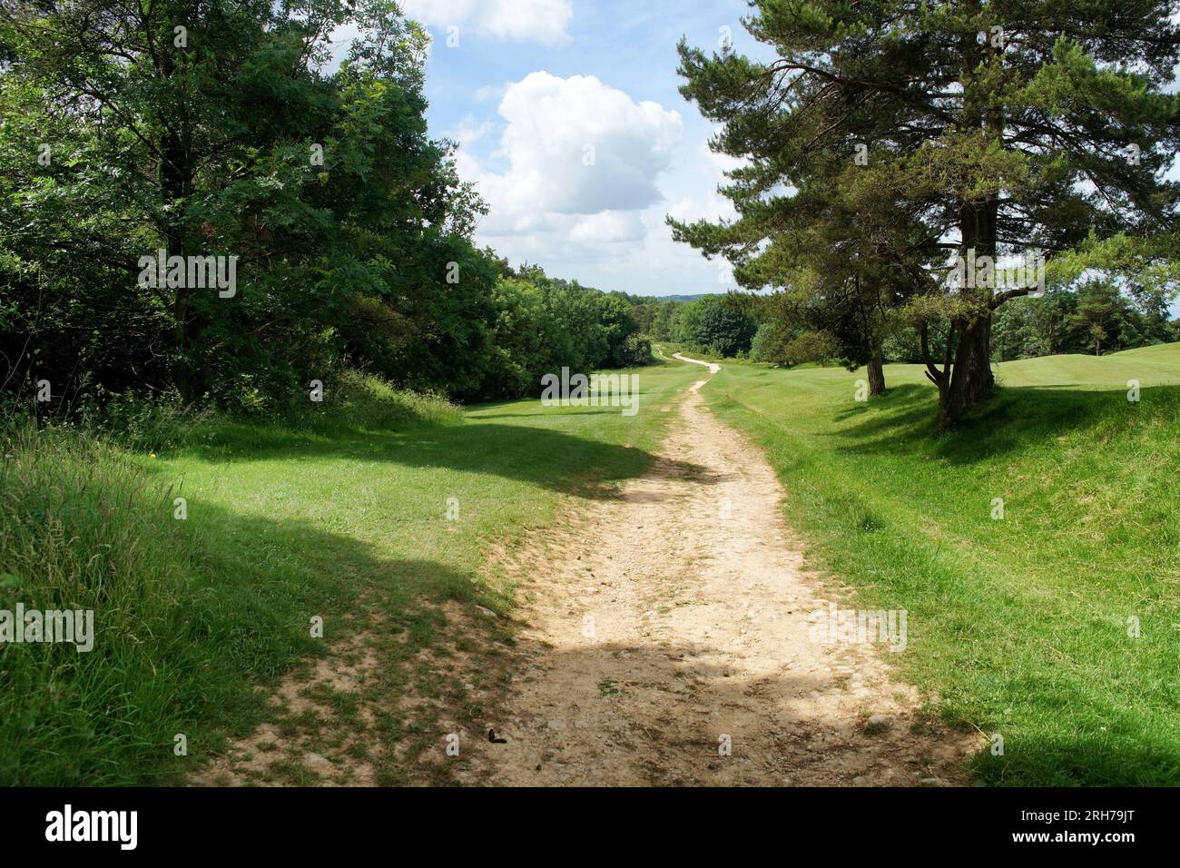 Pathway between trees in rural landscape in England Stock Photo - Alamy