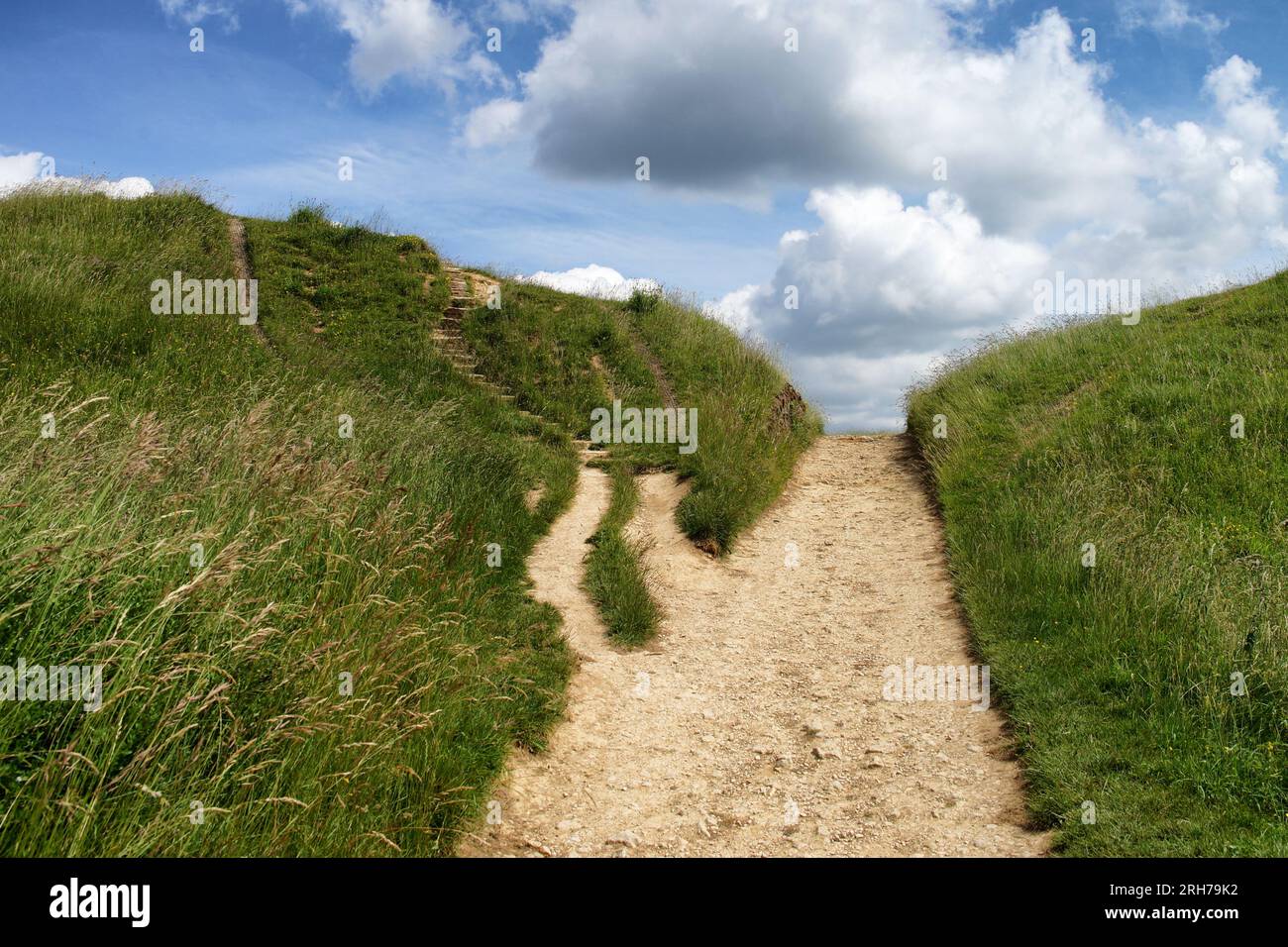 Rural pathway in green meadow with dramatic clouds at background Stock ...