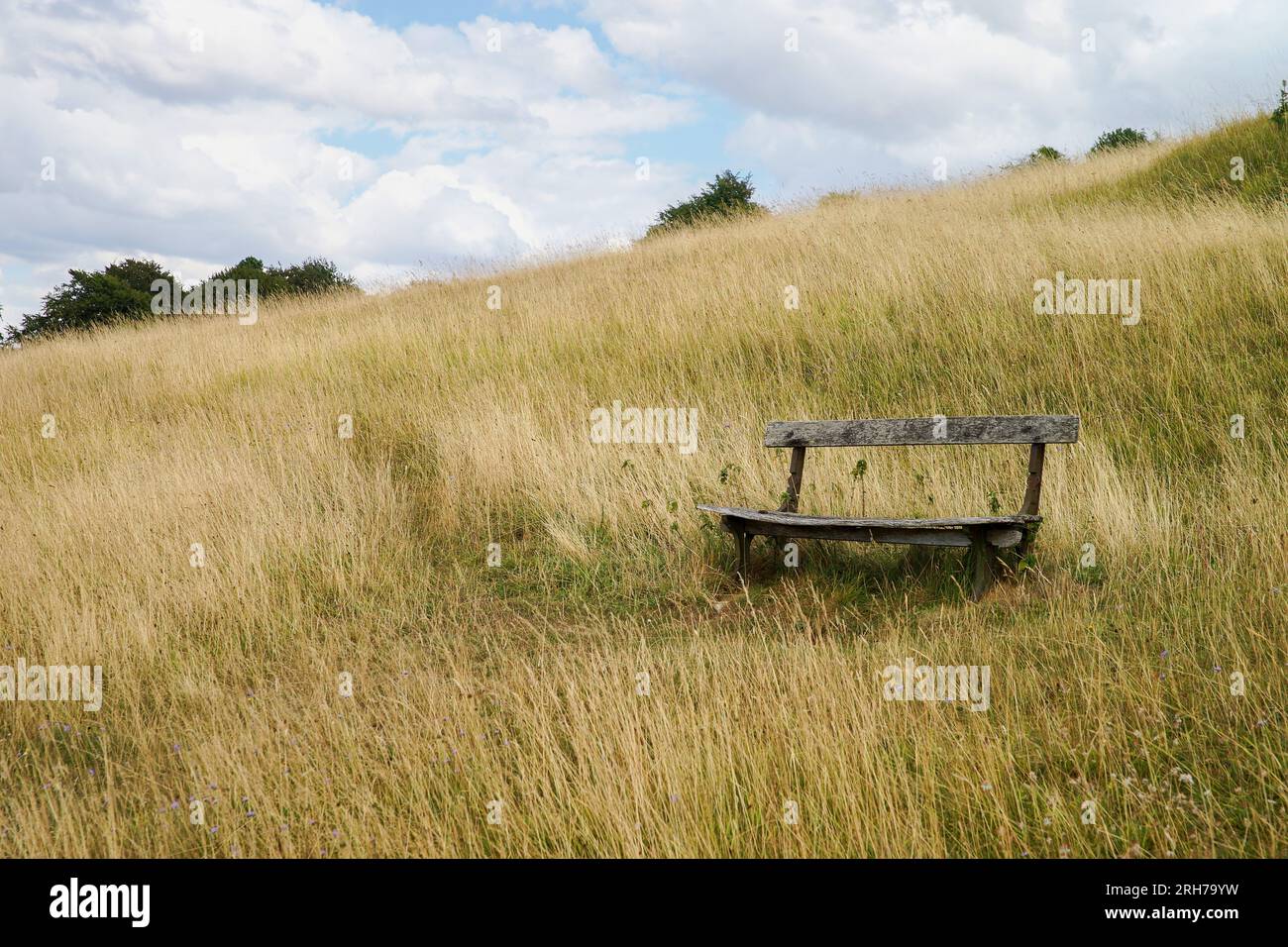 Old wooden bench in the yellow grass. England, Cotswolds ...