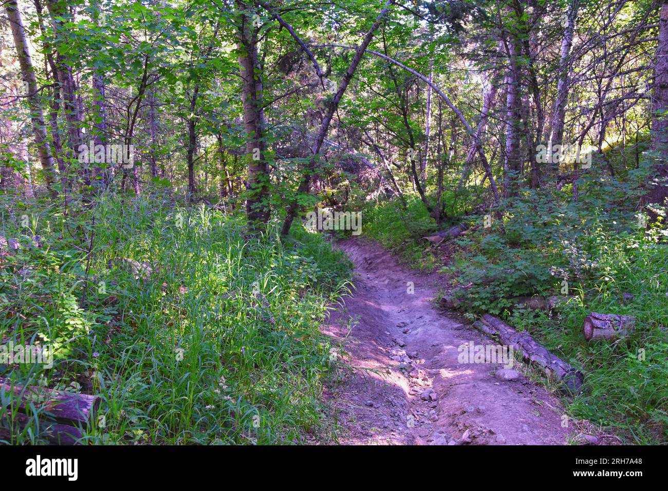 Tibble Fork hiking trail views Lone Peak Wilderness Uinta Wasatch Cache ...