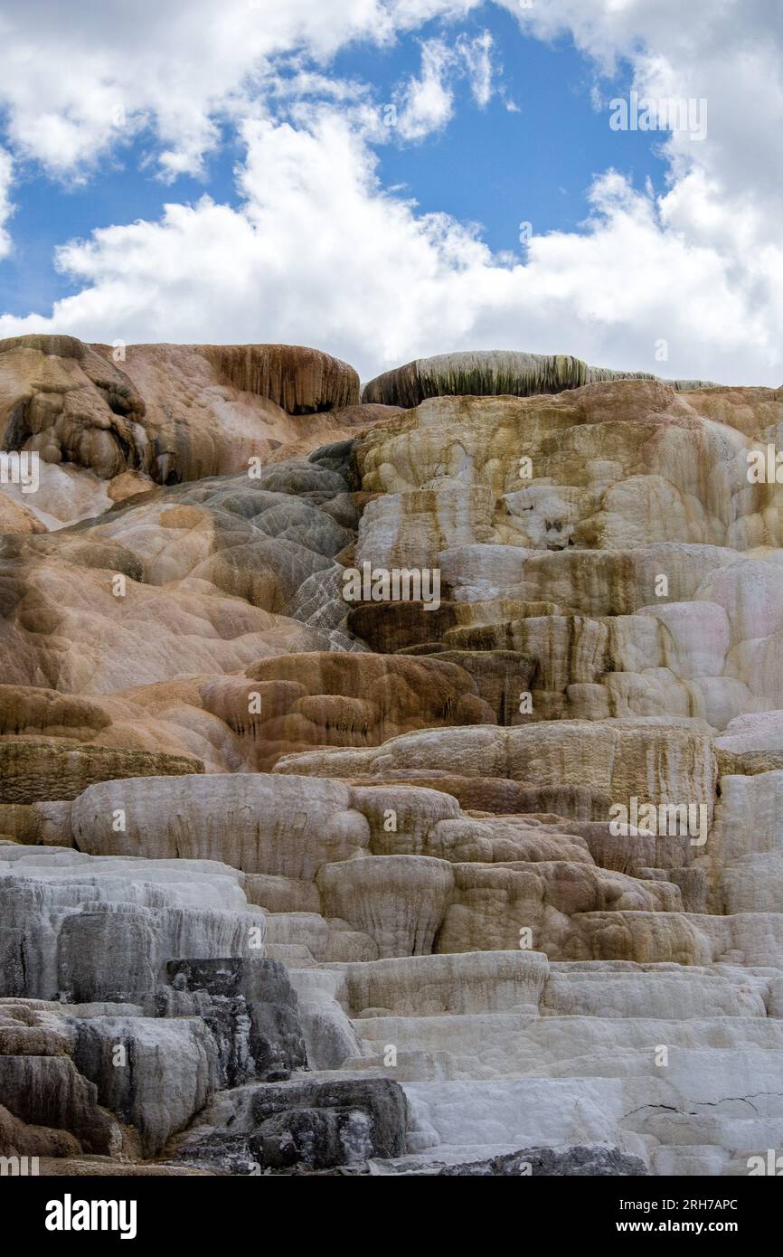 Mammoth Terraces- Yellowstone NP Stock Photo - Alamy