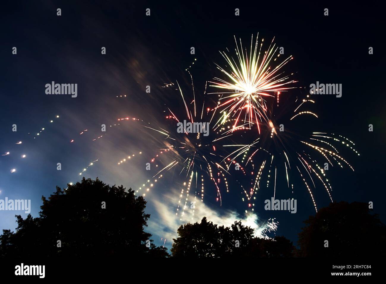 Firework celebration. Dark blue background. Trees at foreground Stock ...