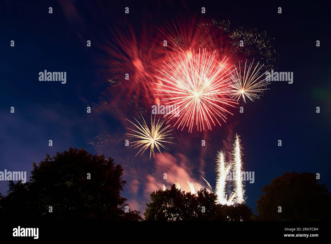 Firework celebration. Dark blue background. Trees at foreground Stock ...