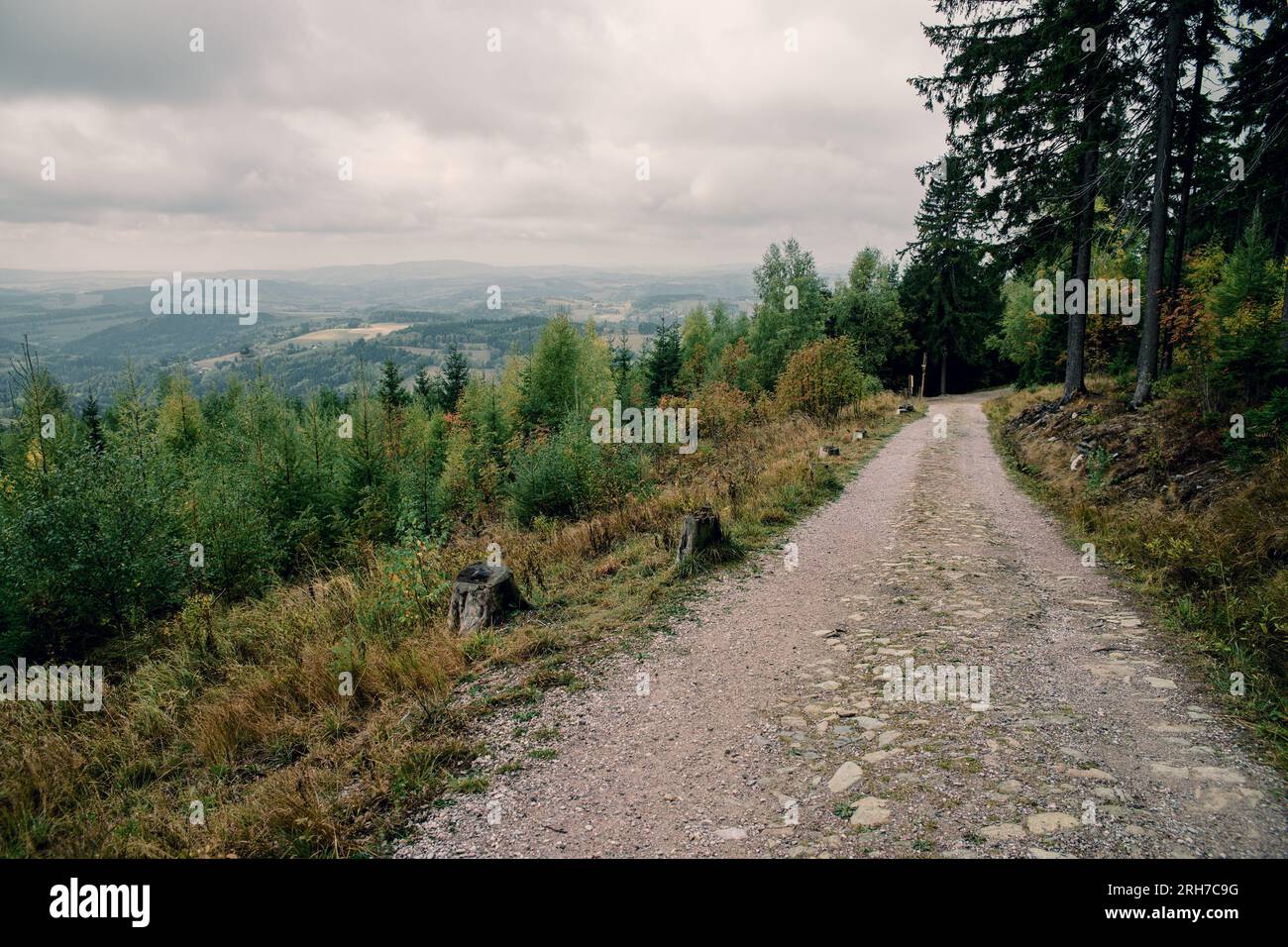 Forest Path in Krkonose Mountain in Czechia. Cloudy weather Stock Photo ...
