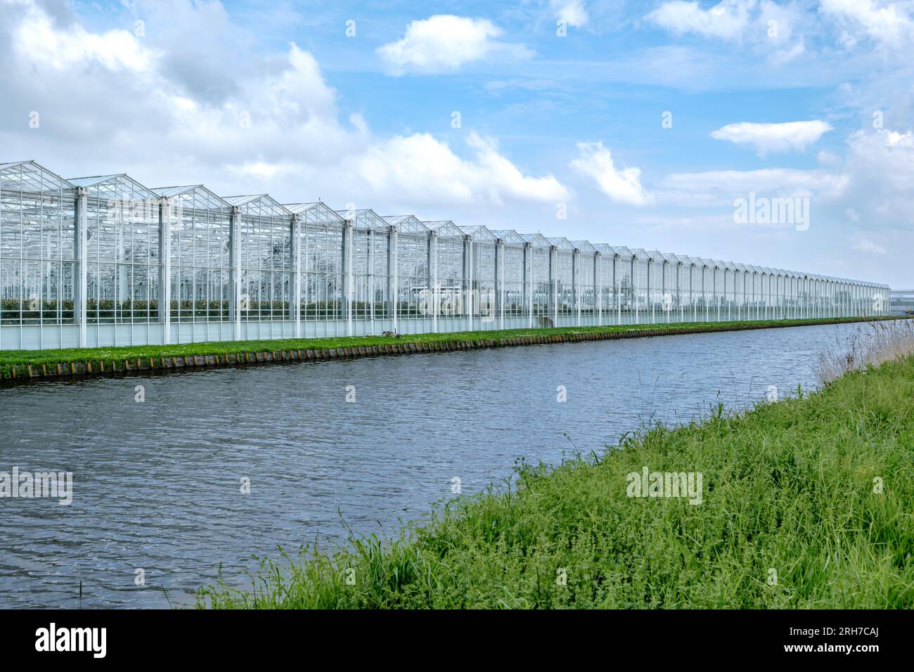 Perspective view of a modern industrial greenhouse in the Netherlands ...