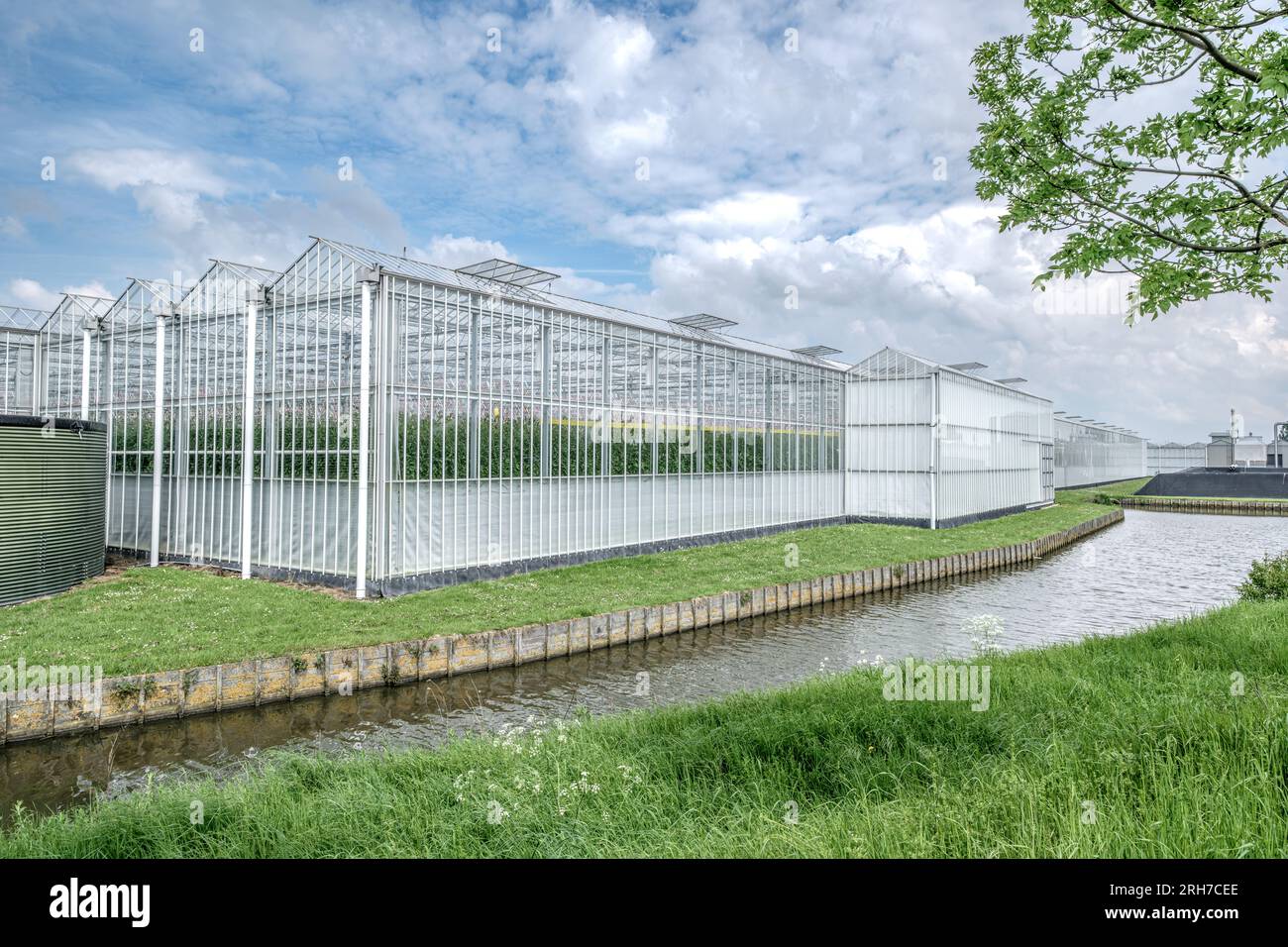 Perspective view of a modern industrial greenhouse in the Netherlands ...