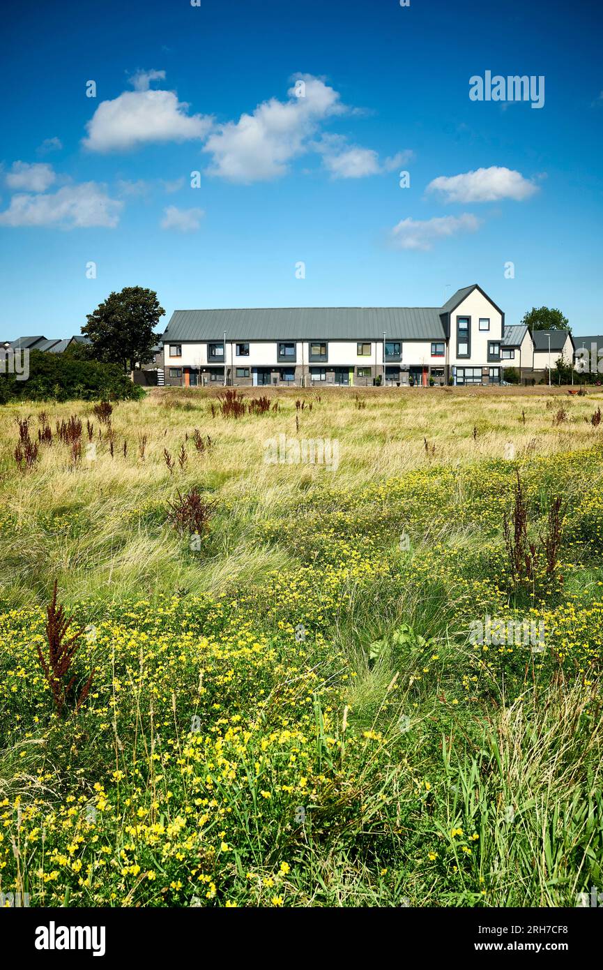 Contemporary housing development in Layton,Blackpool Stock Photo - Alamy
